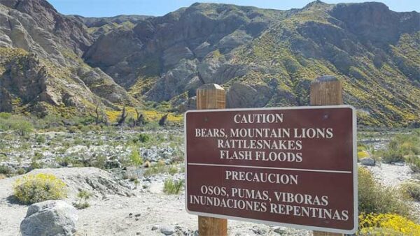 Riverside County's Beautiful Whitewater Preserve - Roseville Today