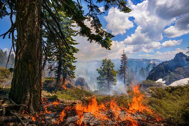 French Meadows Partnership Completes Third Season - Roseville Today