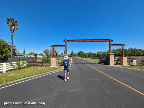 Gibson Ranch Park a springtime treasure in Sacramento County ...