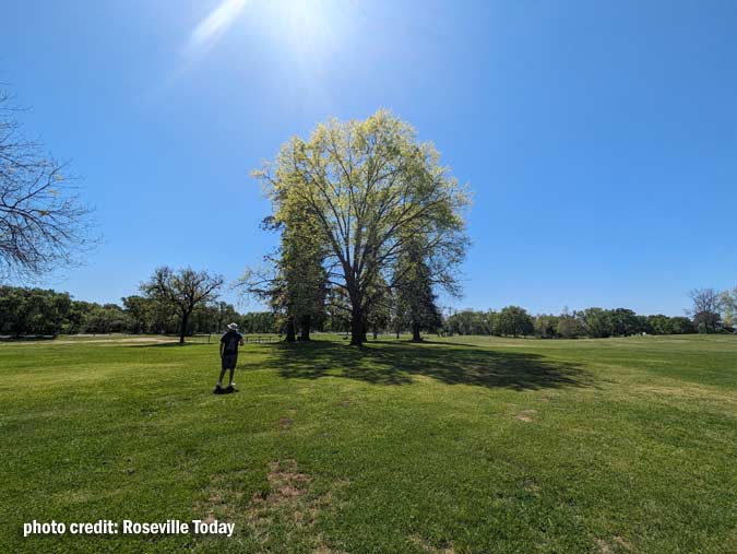 Gibson Ranch Park a springtime treasure in Sacramento County ...