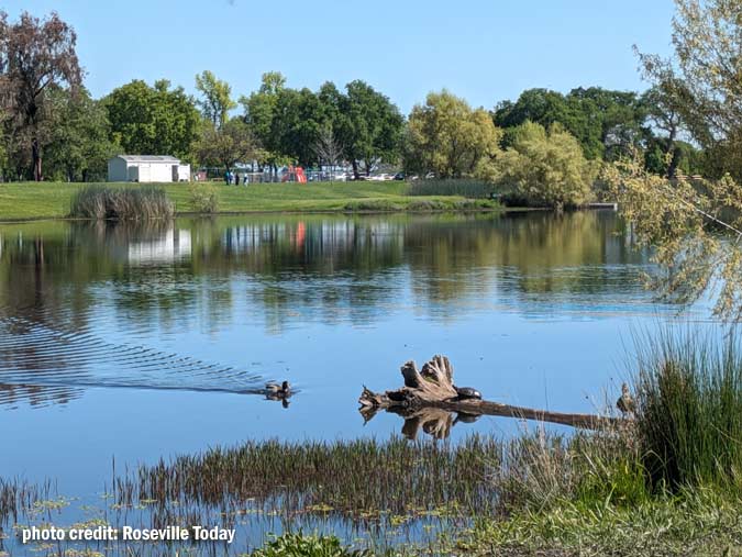 Gibson Ranch Park a springtime treasure in Sacramento County ...