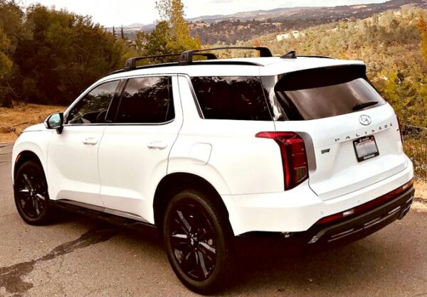 Hyundai Palisade a first-class SUV - Roseville Today