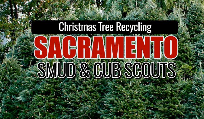 Sacramento & Folsom Christmas Tree Recycling | SMUD